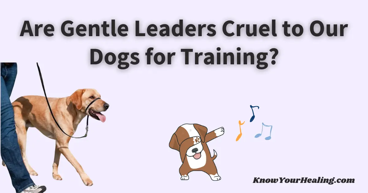 Are Gentle Leaders Cruel to Our Dogs for Training?