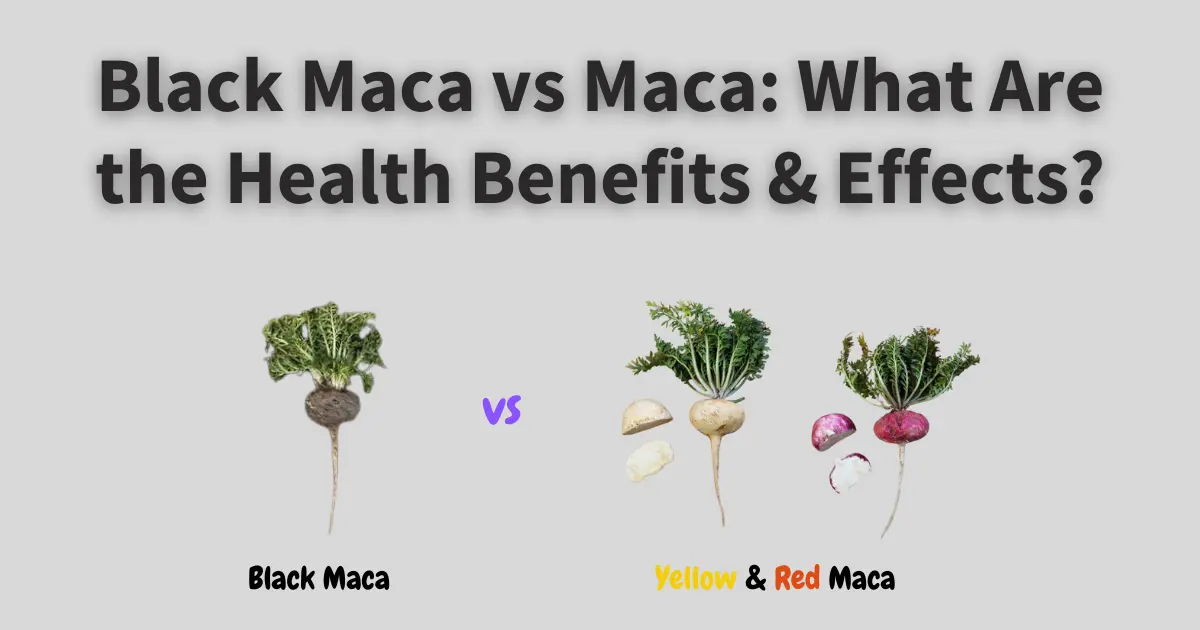 Black Maca vs Maca: What Are the Health Benefits & Effects?