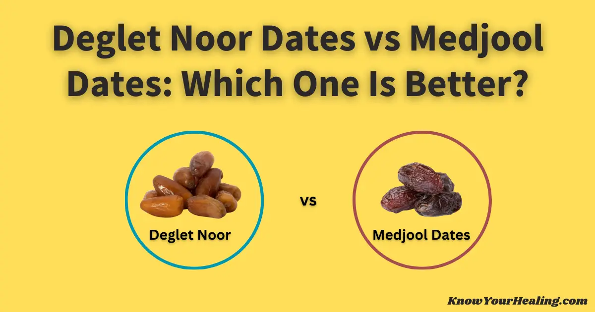 Deglet Noor Dates vs Medjool Dates: Which One Is Better?